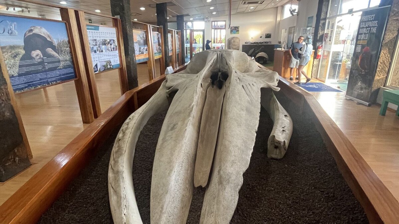 Bruynzeel wins prestigious order from Charles Darwin Foundation